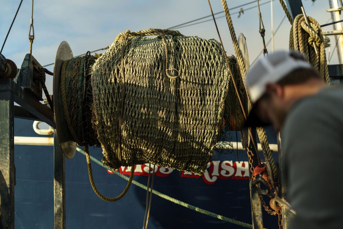 Could trawler cams help save world’s dwindling fish stocks? | News ...